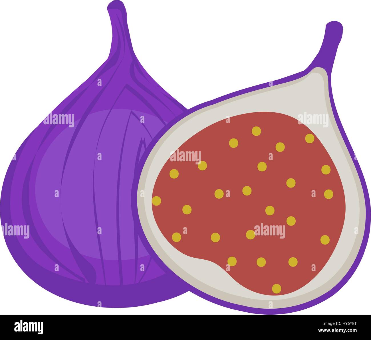 Fresh figs icon, flat, cartoon style.Isolated on white background ...