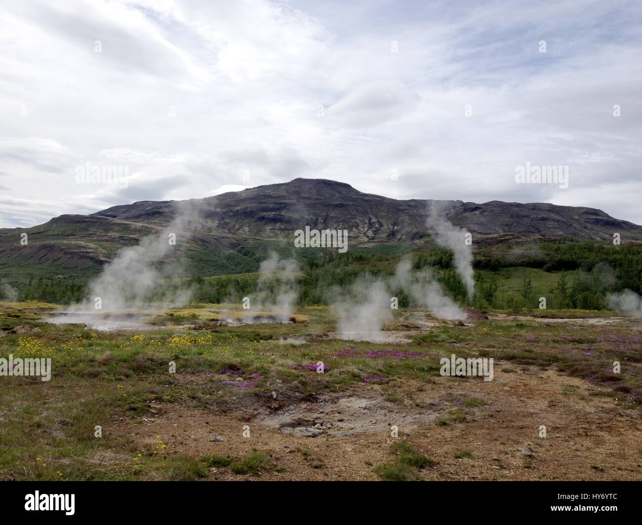 Natural hot spring geyser at Thingvellir National Park, Iceland east of ...