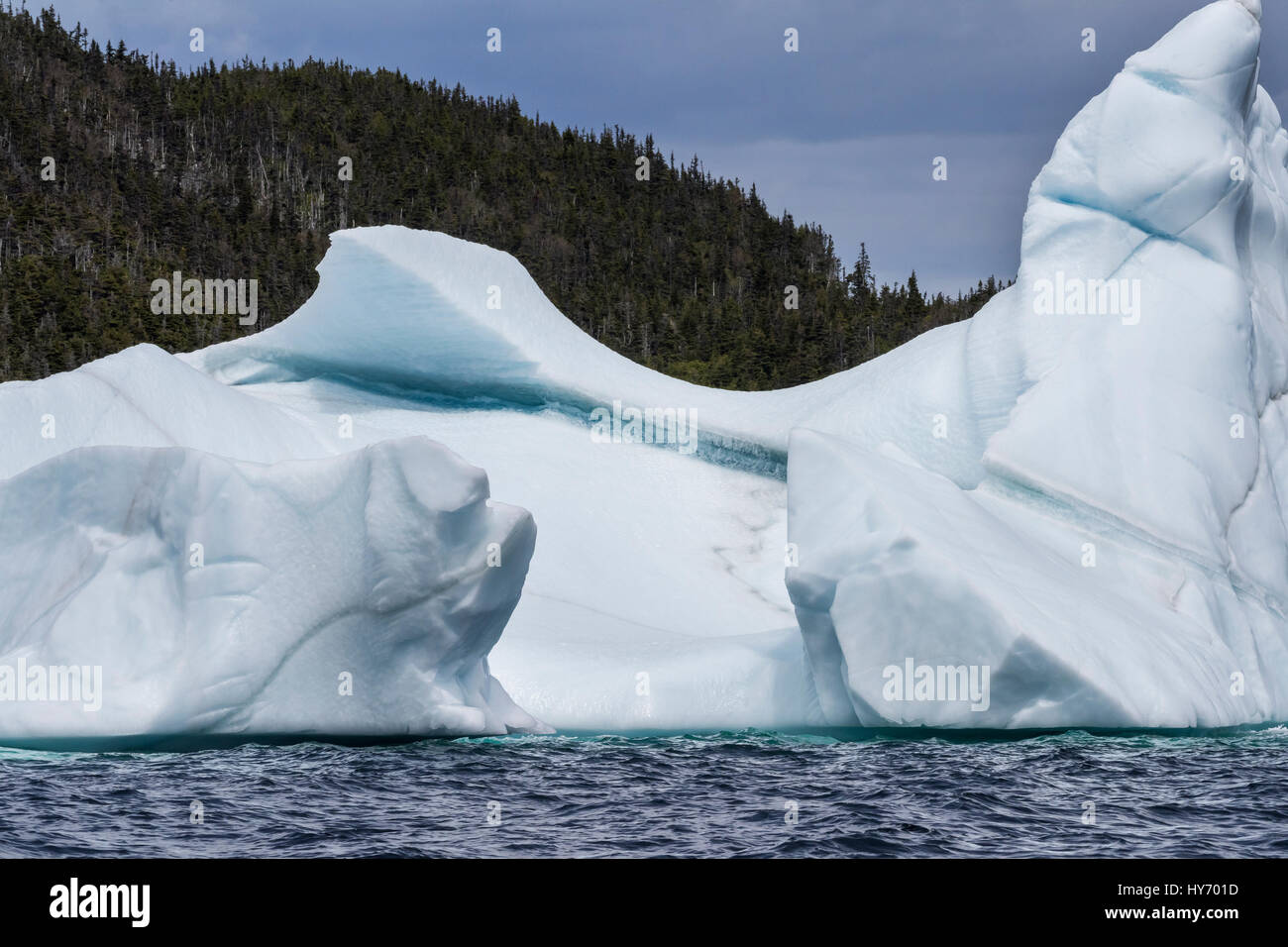 Grounded iceberg and tree-filled cliff, Bonavista Peninsula ...