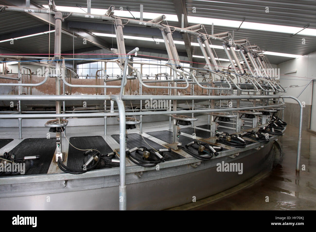 Milking shed new zealand hi-res stock photography and images - Alamy