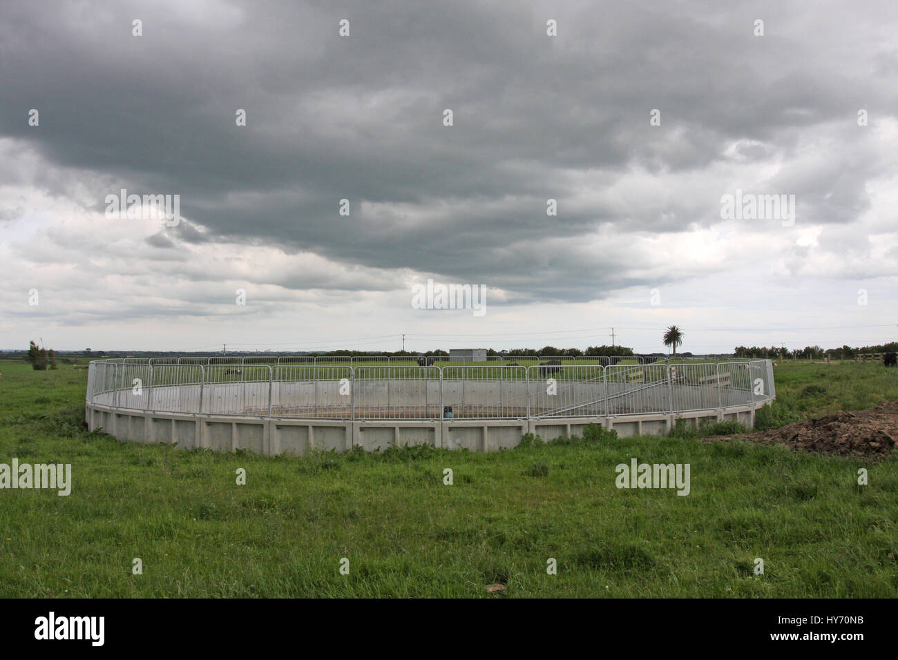 Effluent holding ponds on New Zealand Dairy Farm Stock Photo - Alamy