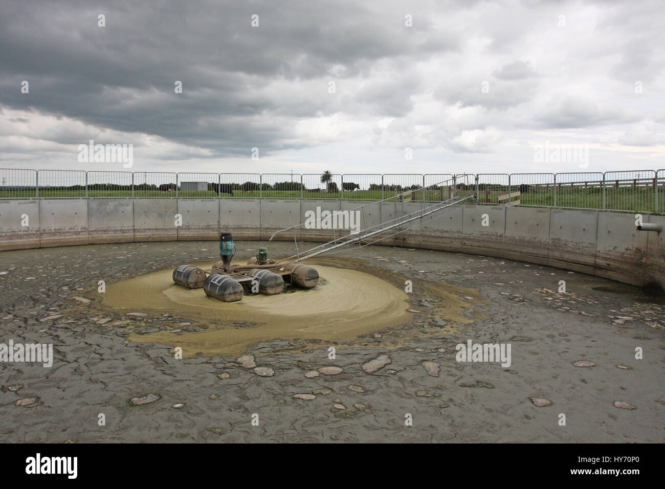 Effluent holding ponds on New Zealand Dairy Farm Stock Photo - Alamy