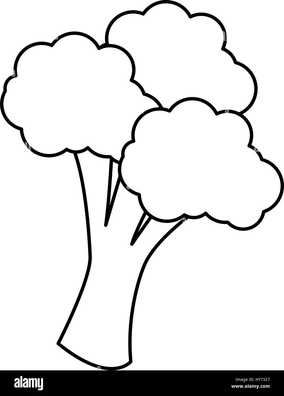 Broccoli silhouette Black and White Stock Photos & Images - Alamy