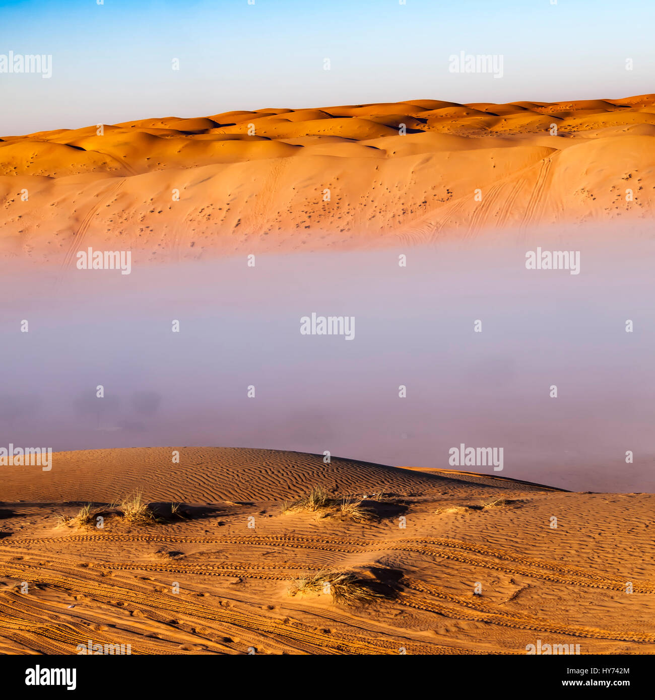 Wahiba Sand desert, Oman Stock Photo - Alamy