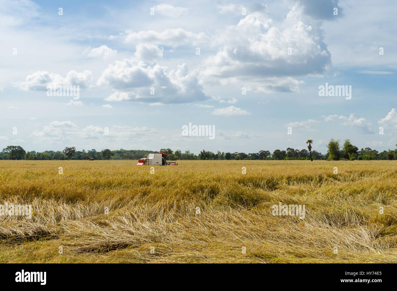 Farm tractor plowing rice field hi-res stock photography and images - Alamy
