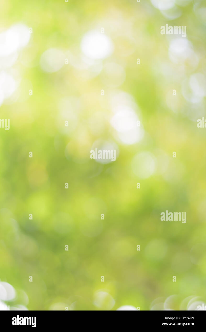 Green tone hi-res stock photography and images - Alamy