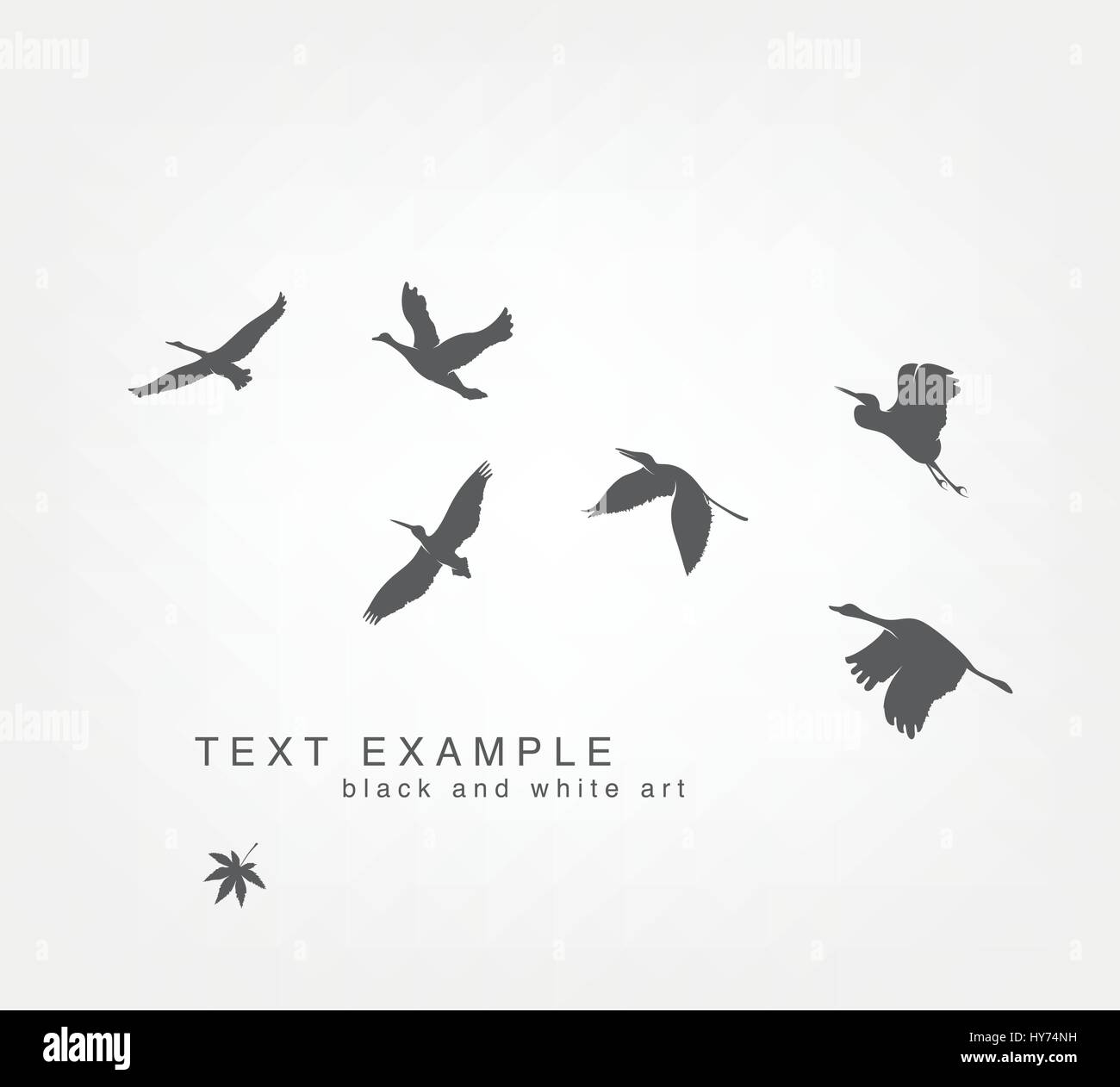 dark figures flying birds on white background Stock Vector Image & Art ...