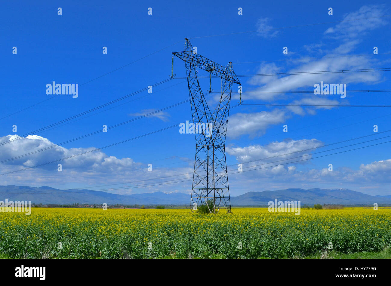 Power Pole in field Stock Photo - Alamy