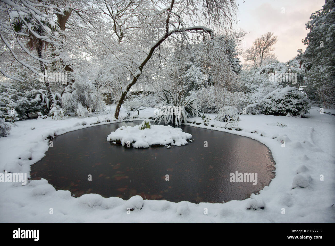 Singleton botanic gardens hi-res stock photography and images - Alamy