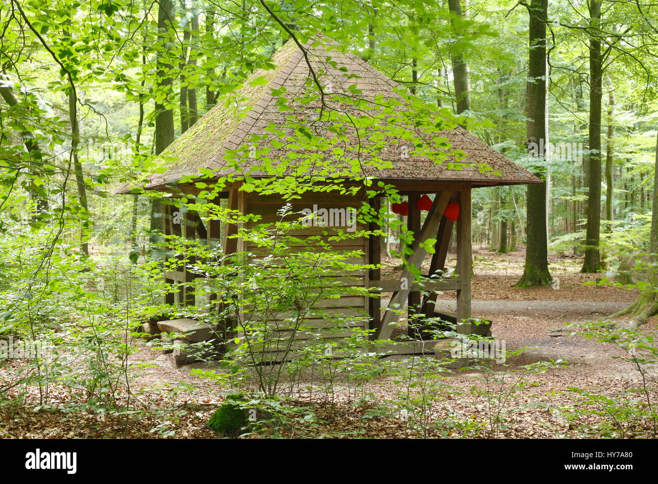 Hut in the wood hi-res stock photography and images - Alamy