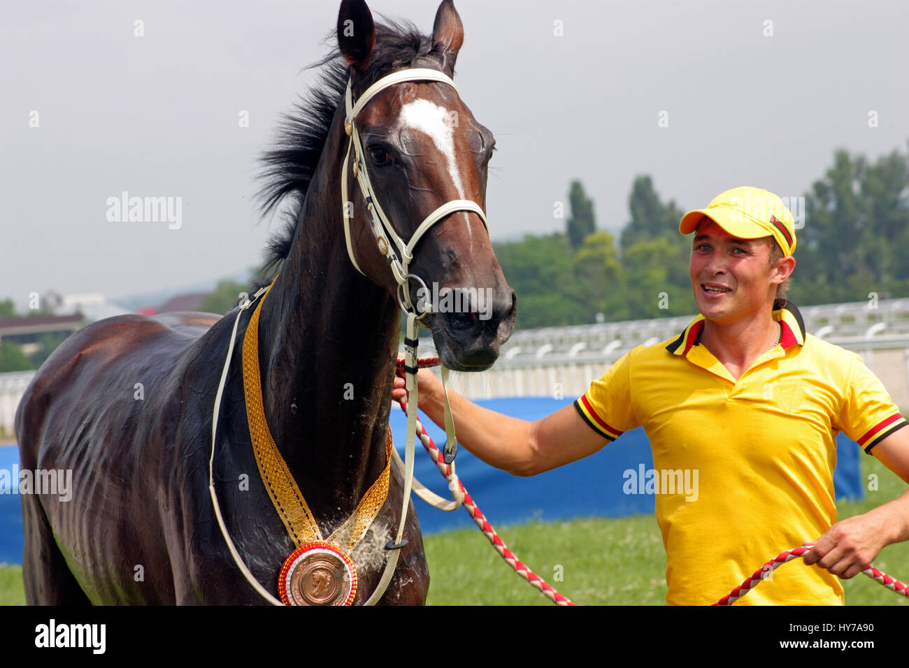 Portrait of grey horse and jockey Stock Photo - Alamy