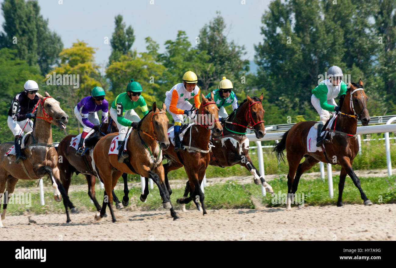 Group riding horse leading hi-res stock photography and images - Alamy