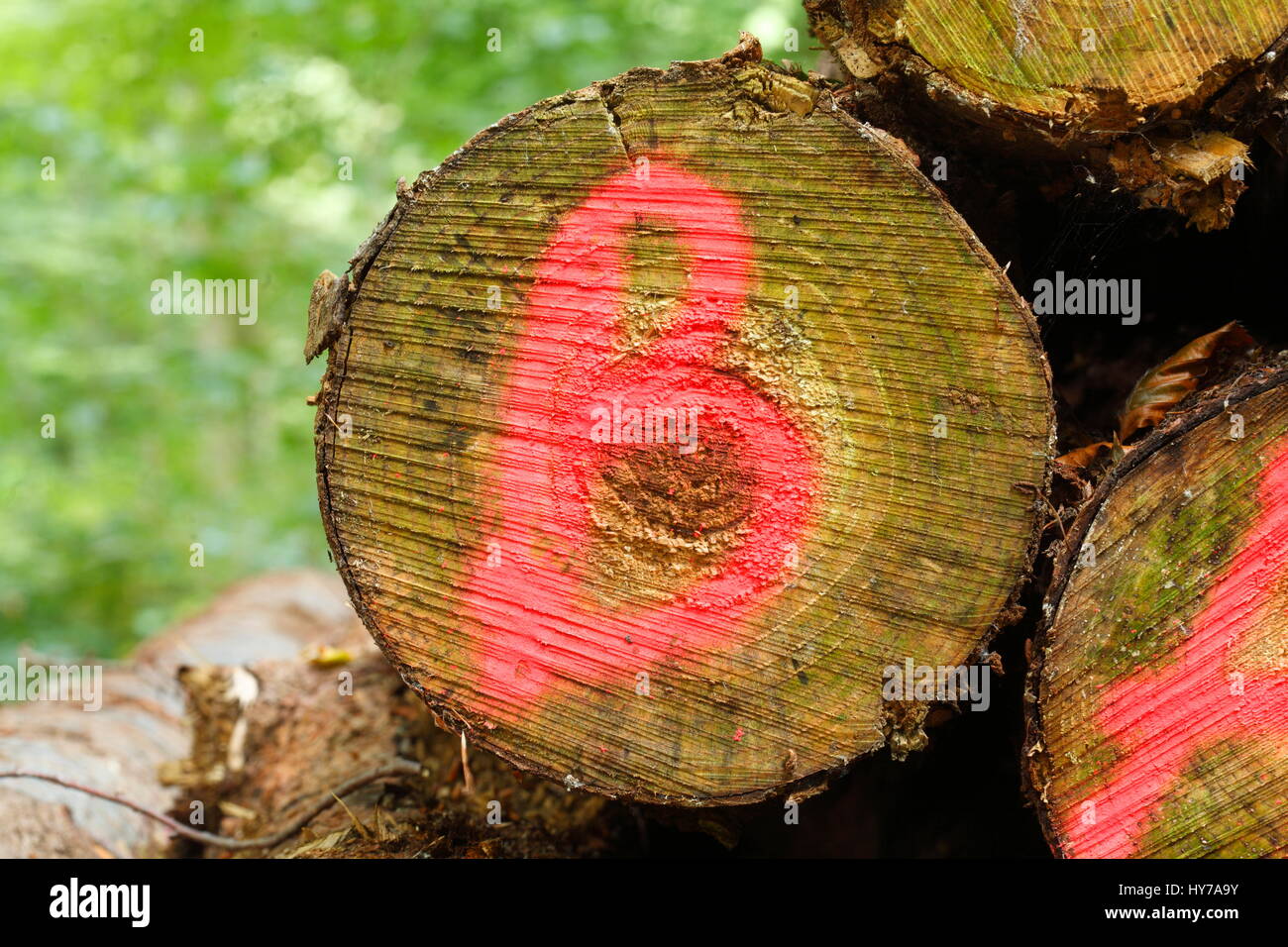 Marked pathway hi-res stock photography and images - Alamy
