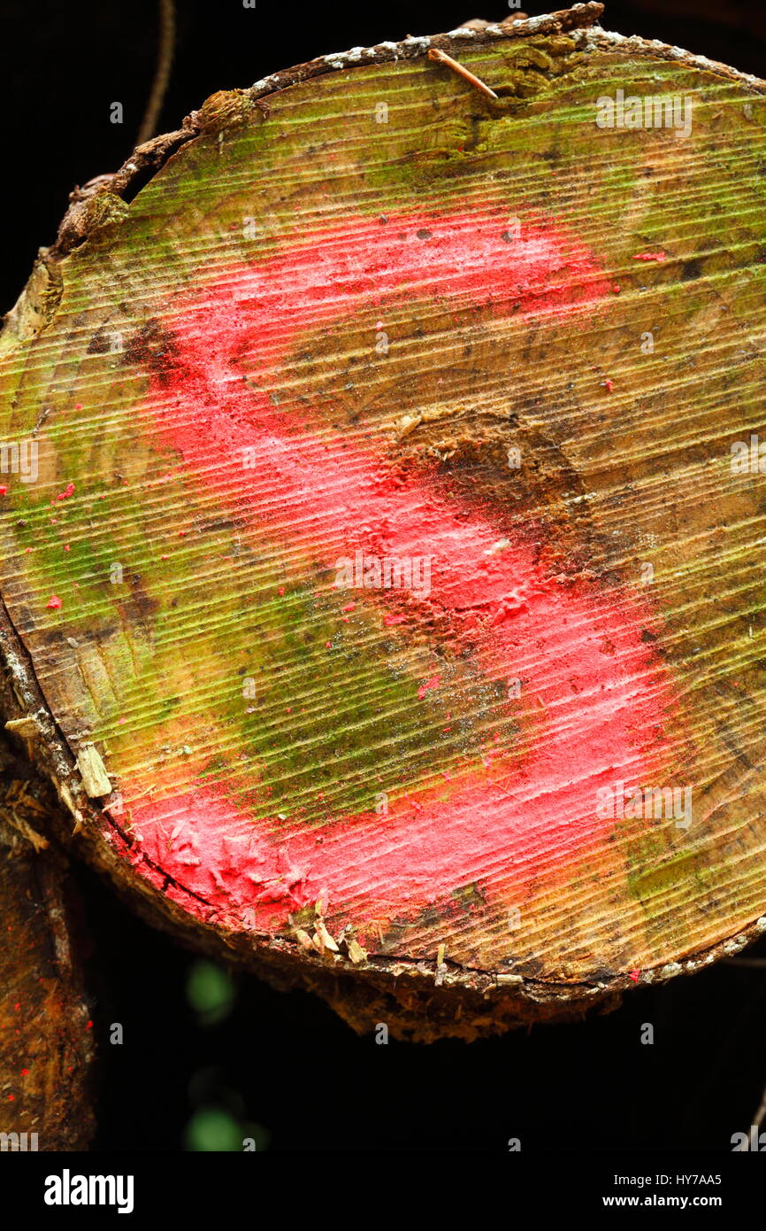 Marked Pathway High Resolution Stock Photography and Images - Alamy