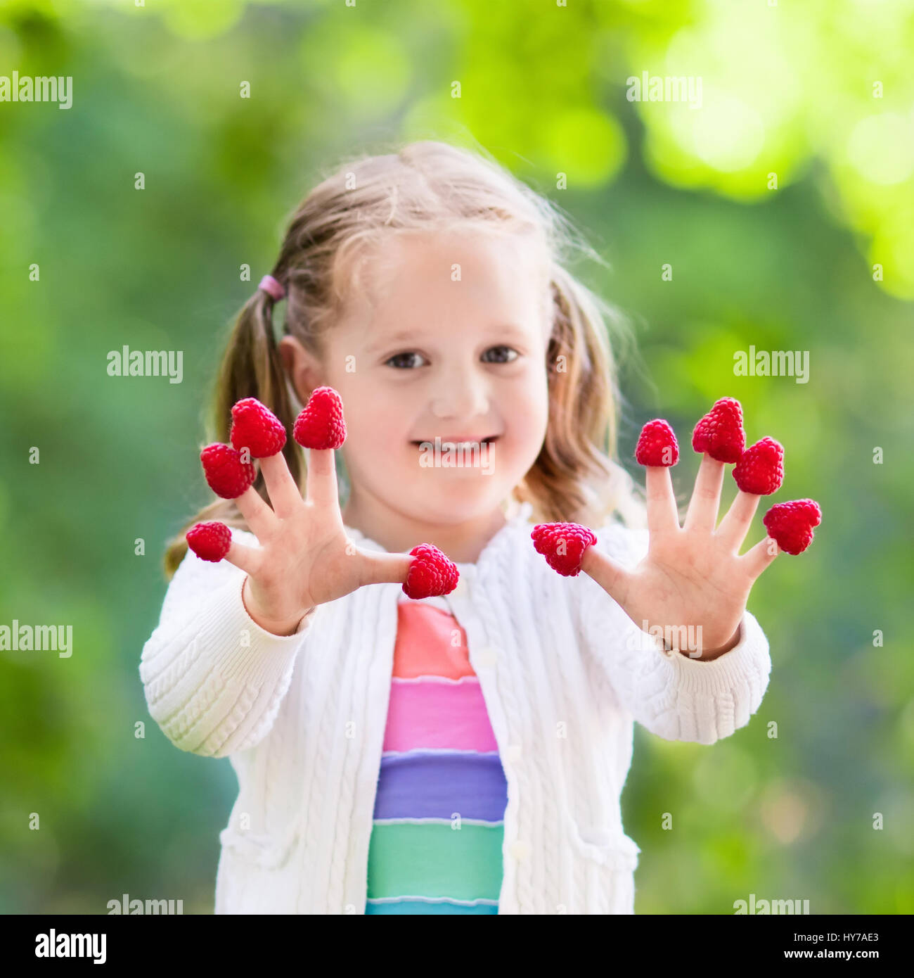 Child picking raspberry. Kids pick fresh fruit on organic raspberries ...