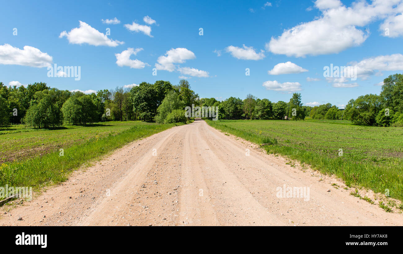 empty road in the countryside with trees in surrounding. perspective in ...