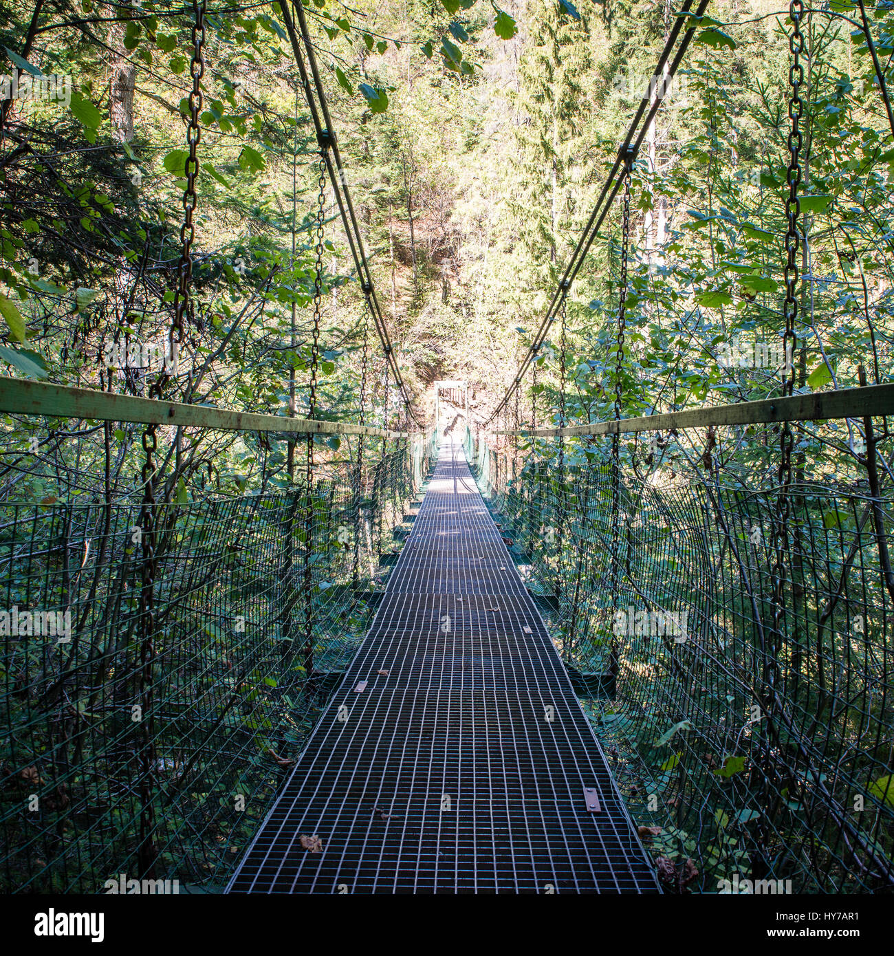 old bridge in forest seen in perspective. central composition Stock ...
