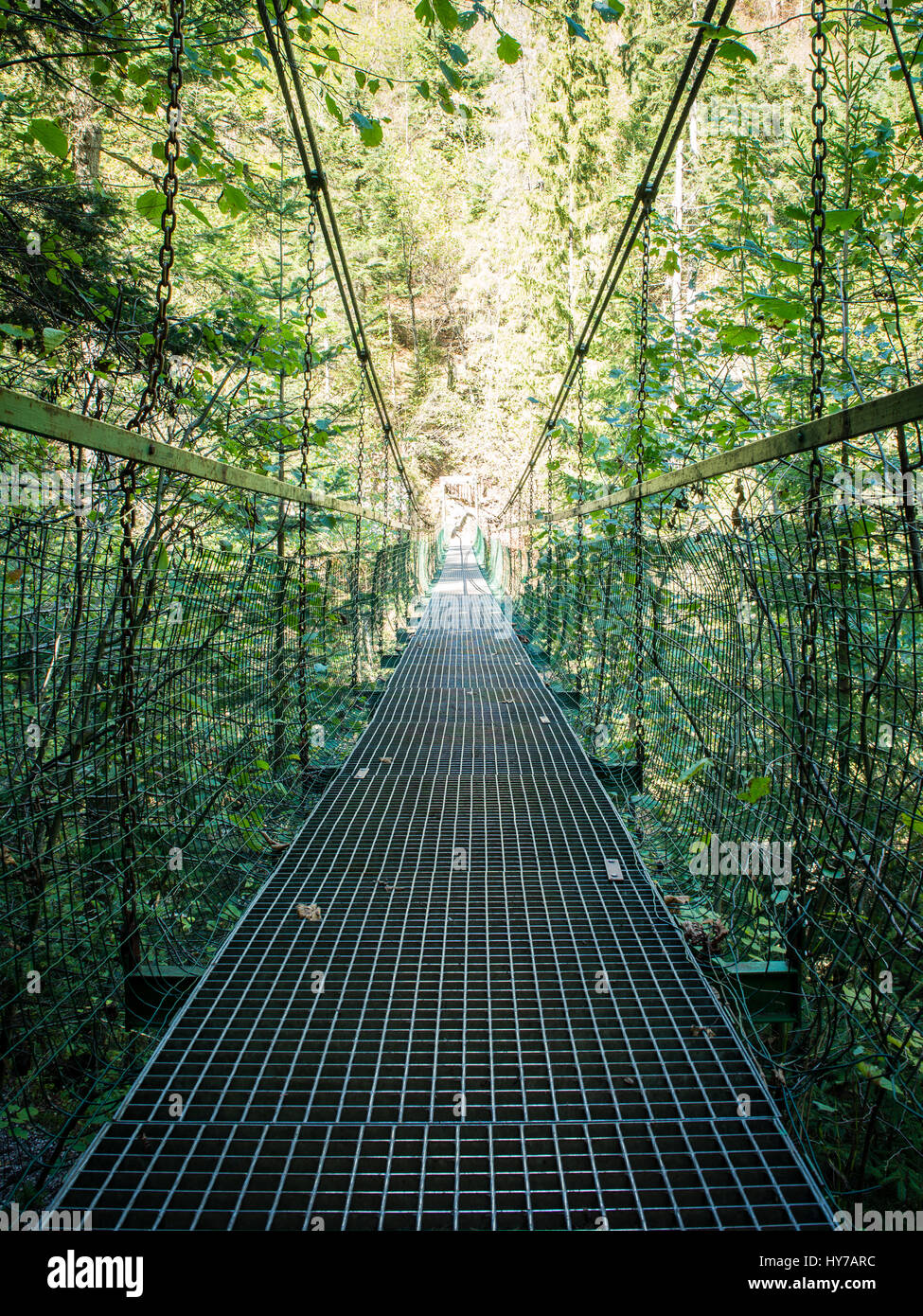 old bridge in forest seen in perspective. central composition Stock ...