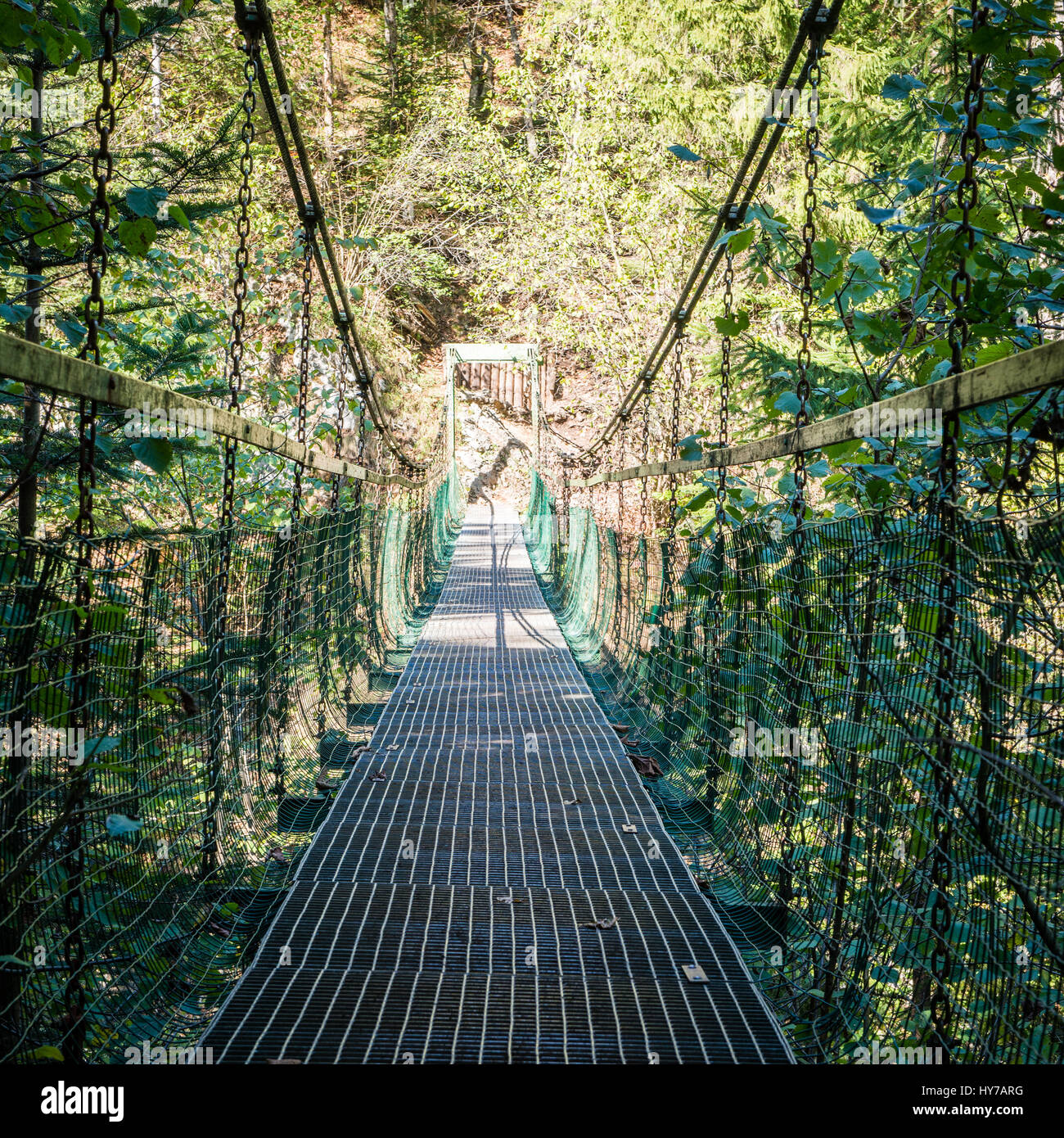 old bridge in forest seen in perspective. central composition Stock ...