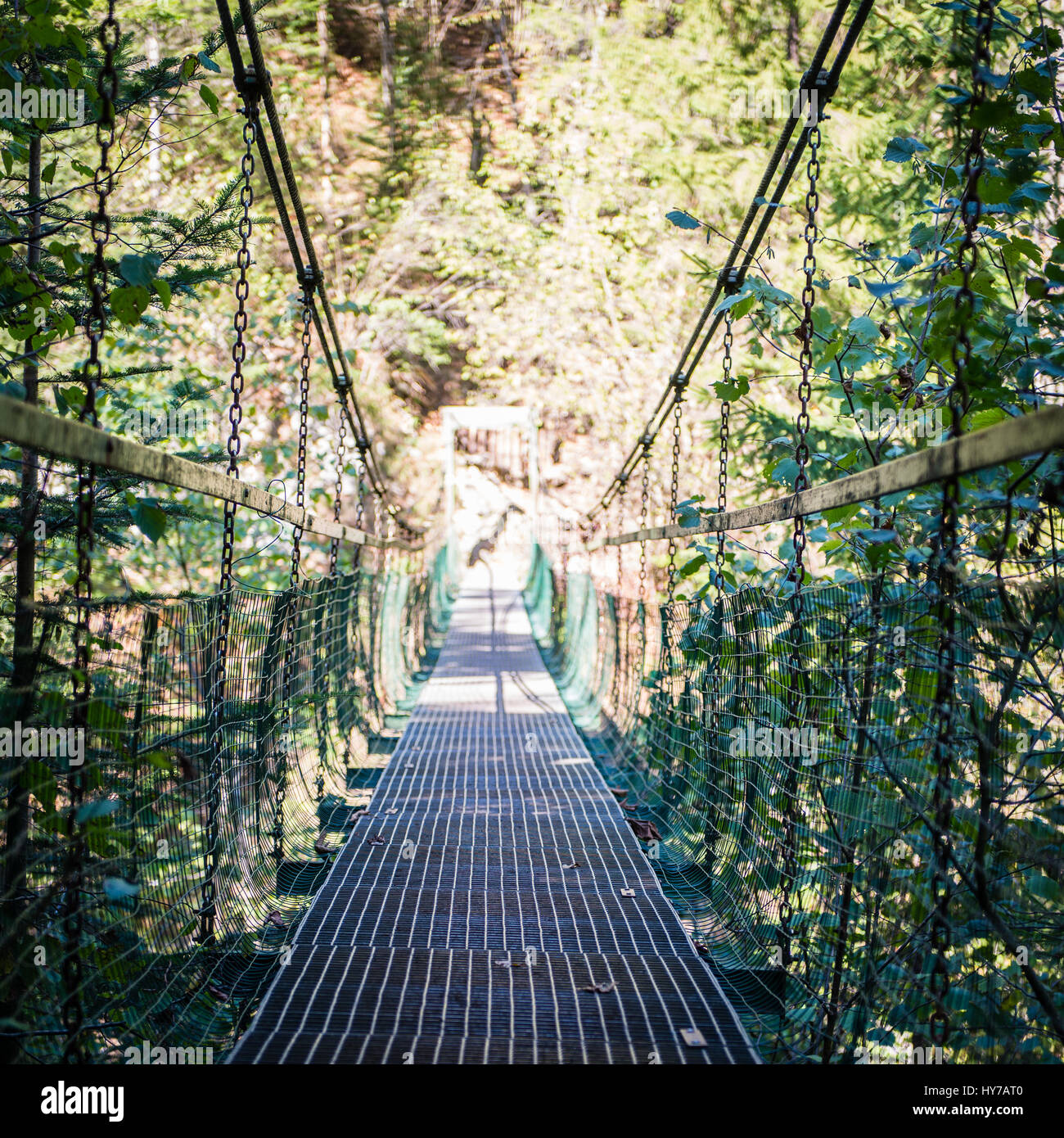 old bridge in forest seen in perspective. central composition Stock ...
