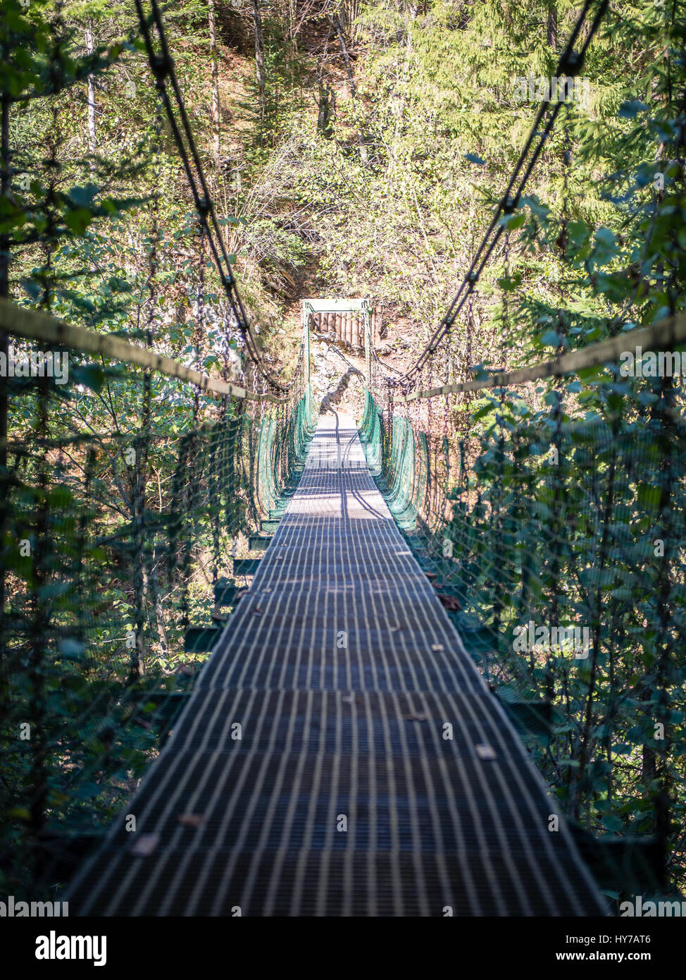 old bridge in forest seen in perspective. central composition Stock ...