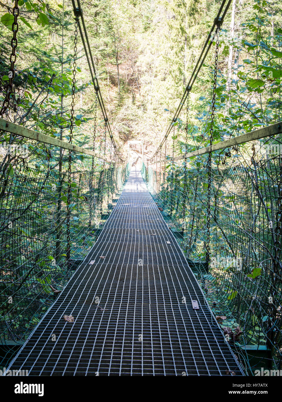 old bridge in forest seen in perspective. central composition Stock ...