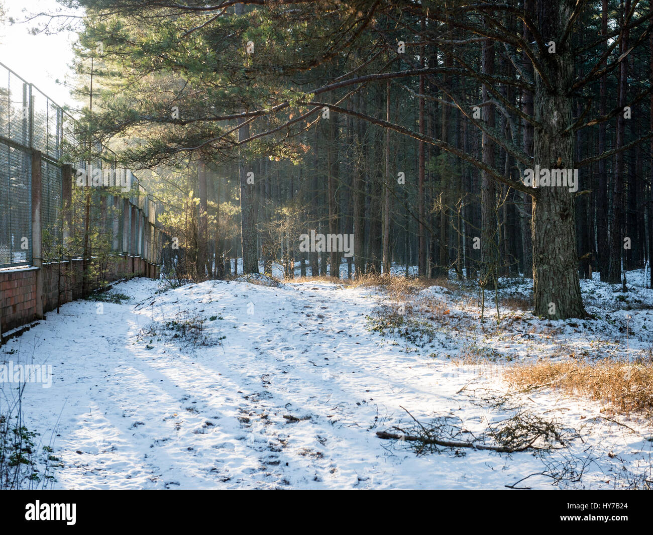 snowy tourist hiking trail in woods in winter. trails in snow Stock ...