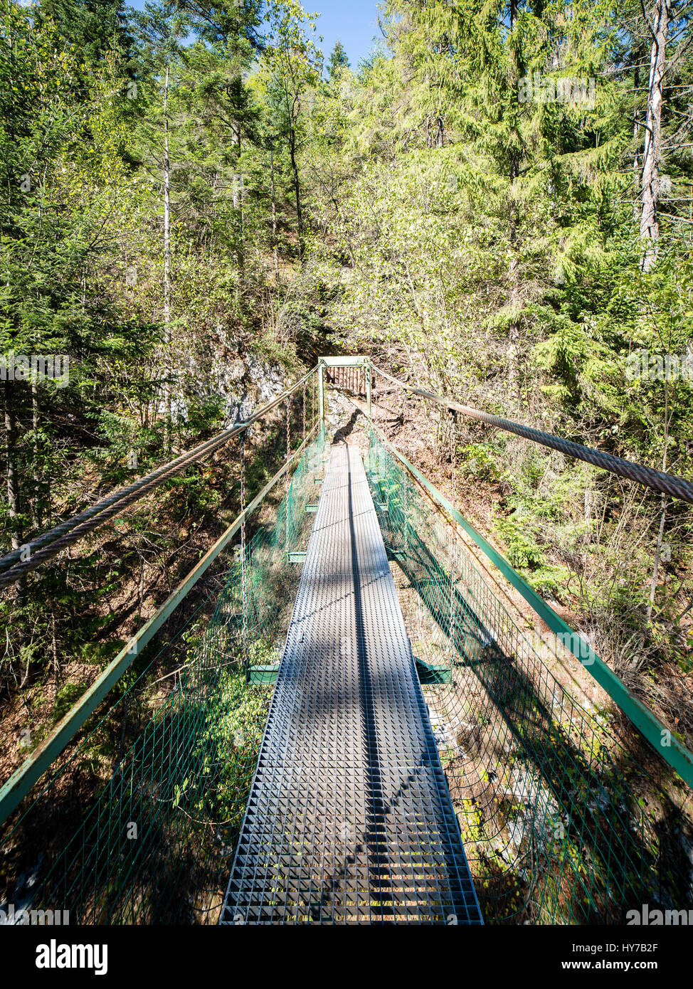 old bridge in forest seen in perspective. central composition Stock ...