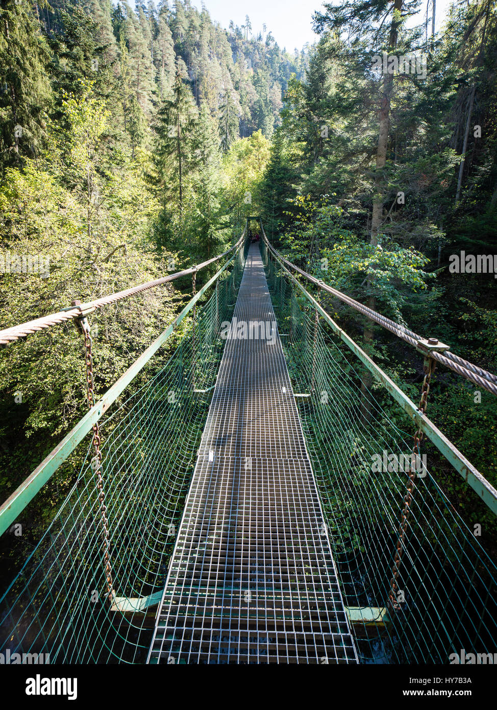 old bridge in forest seen in perspective. central composition Stock ...