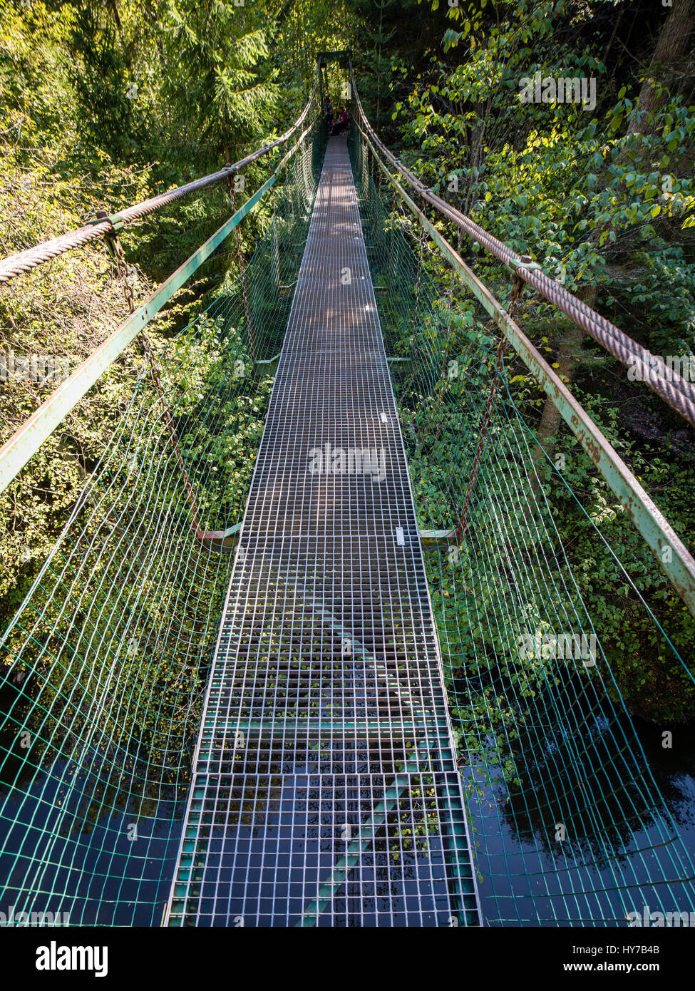 old bridge in forest seen in perspective. central composition Stock ...