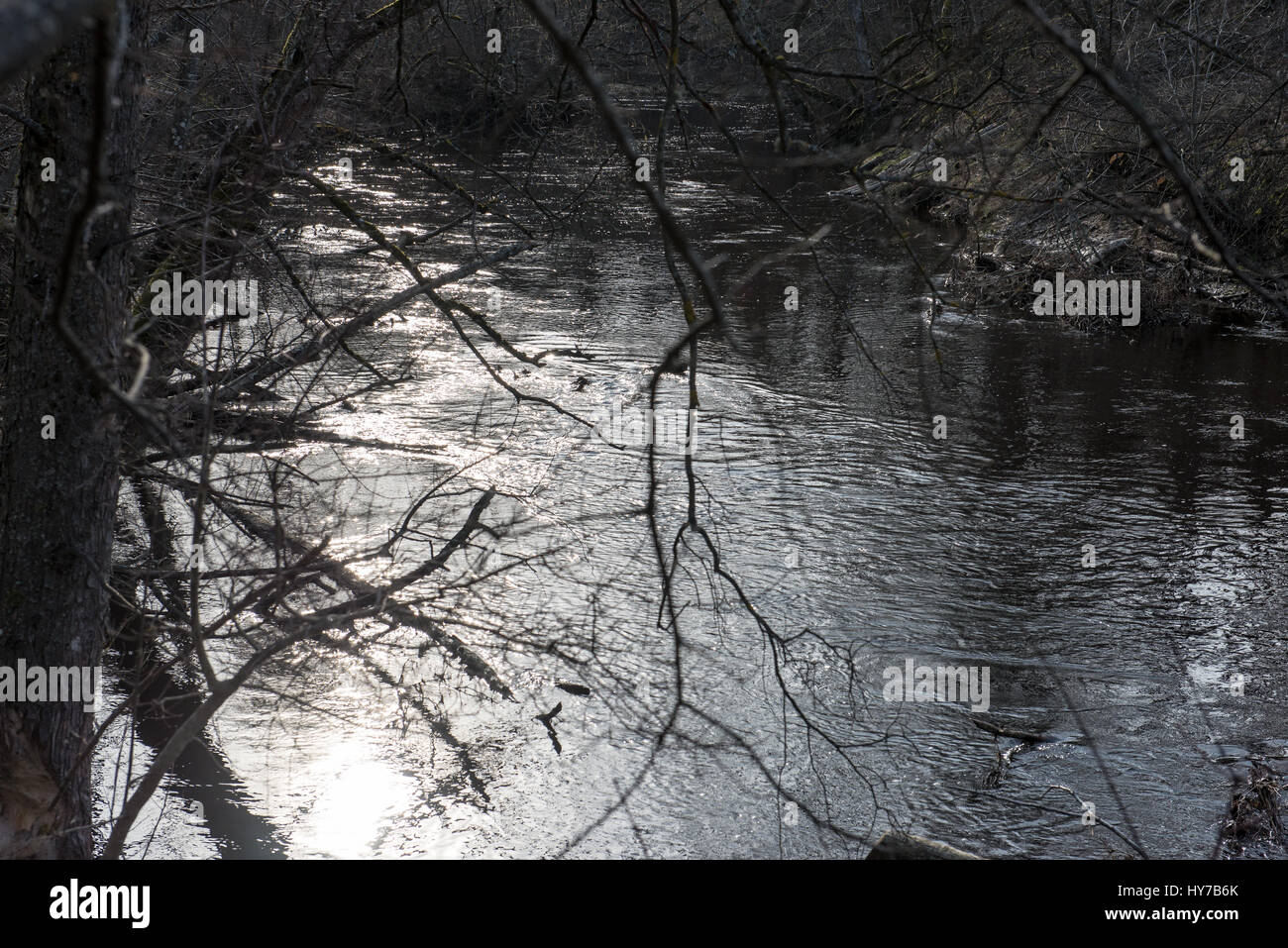 scenic spring colored river in country with trees and reflections Stock ...