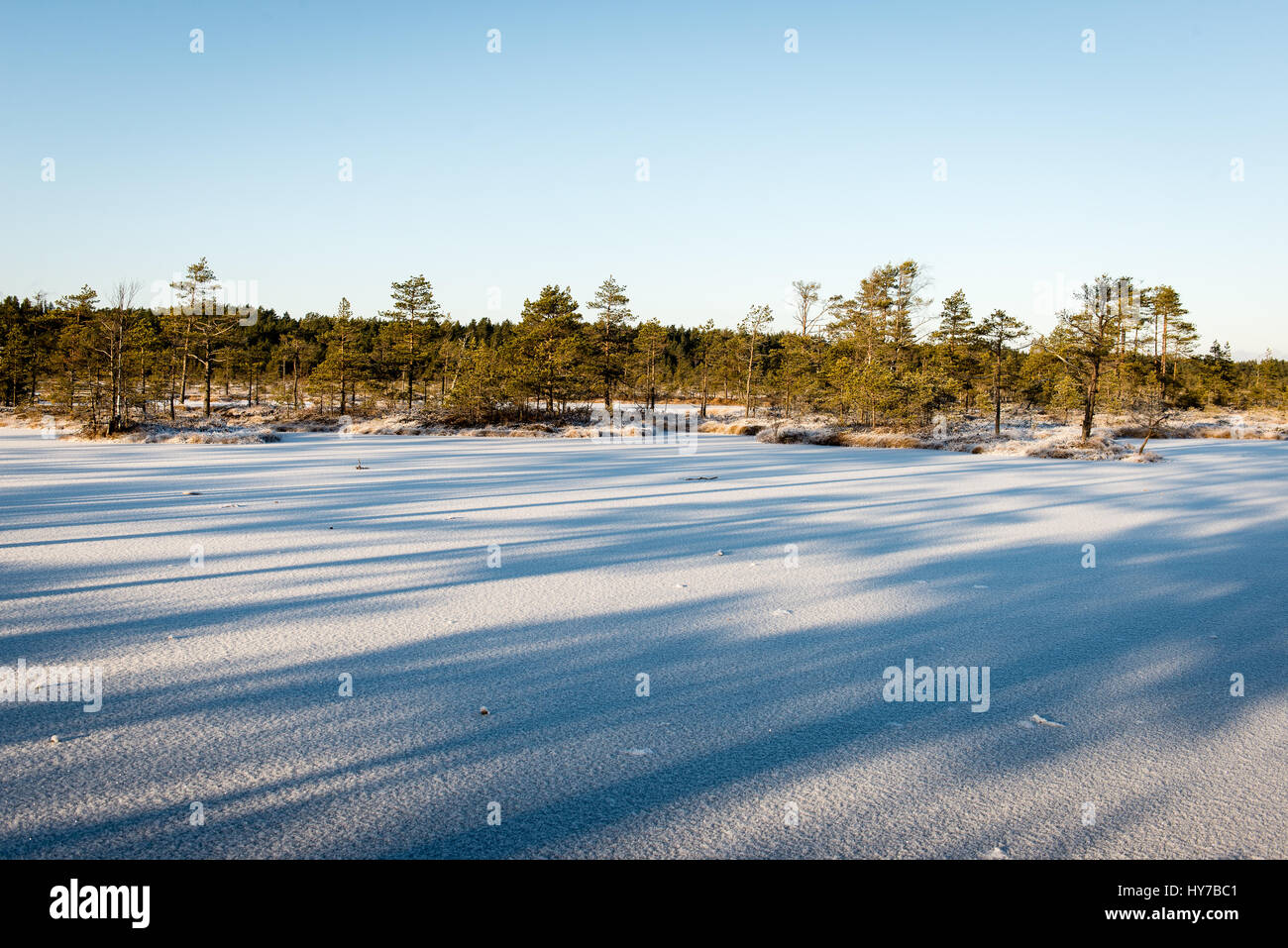 snowy tourist hiking trail in woods in winter. trails in snow Stock ...