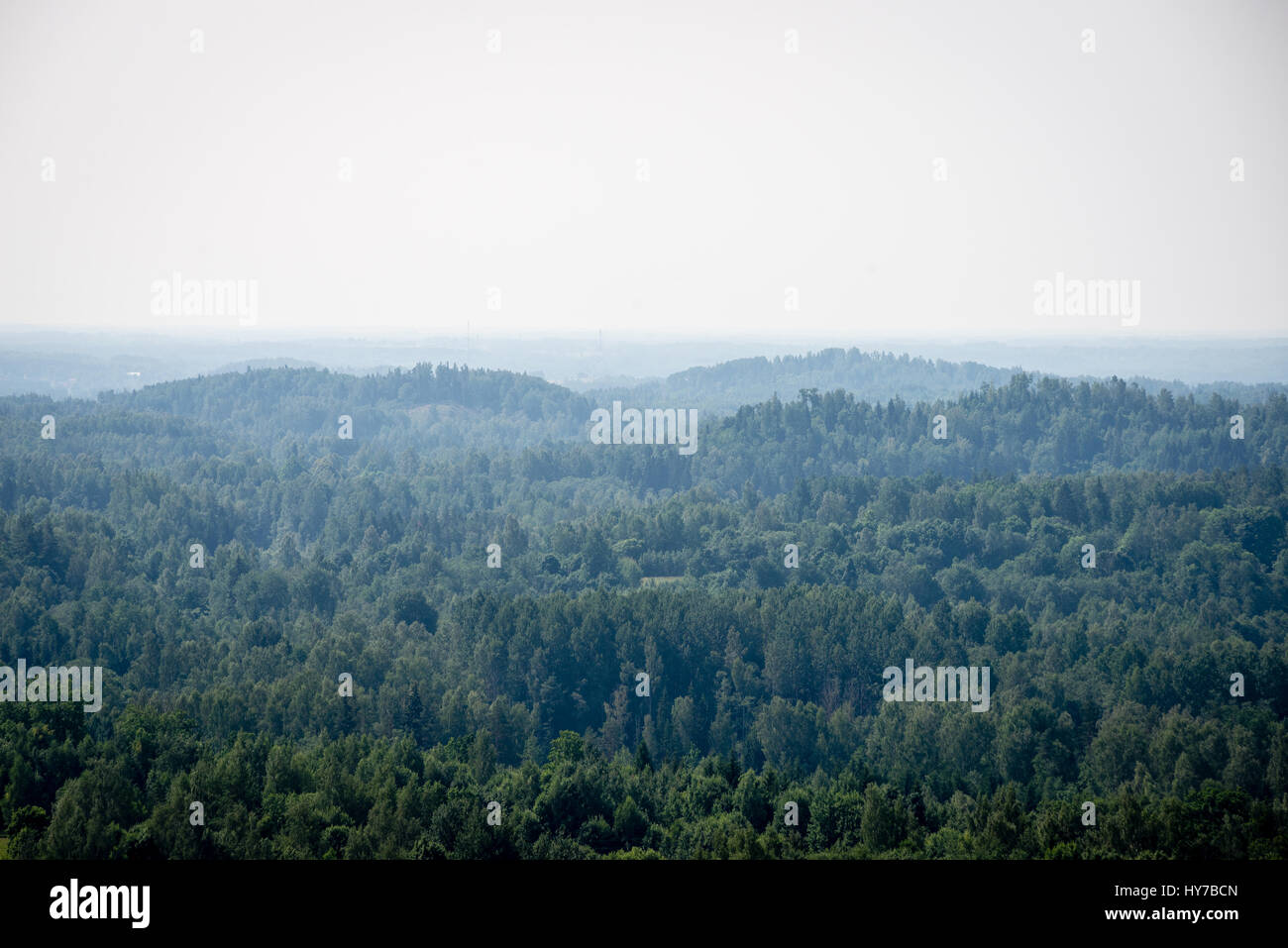 panoramic view of misty green forest. far horizon Stock Photo - Alamy