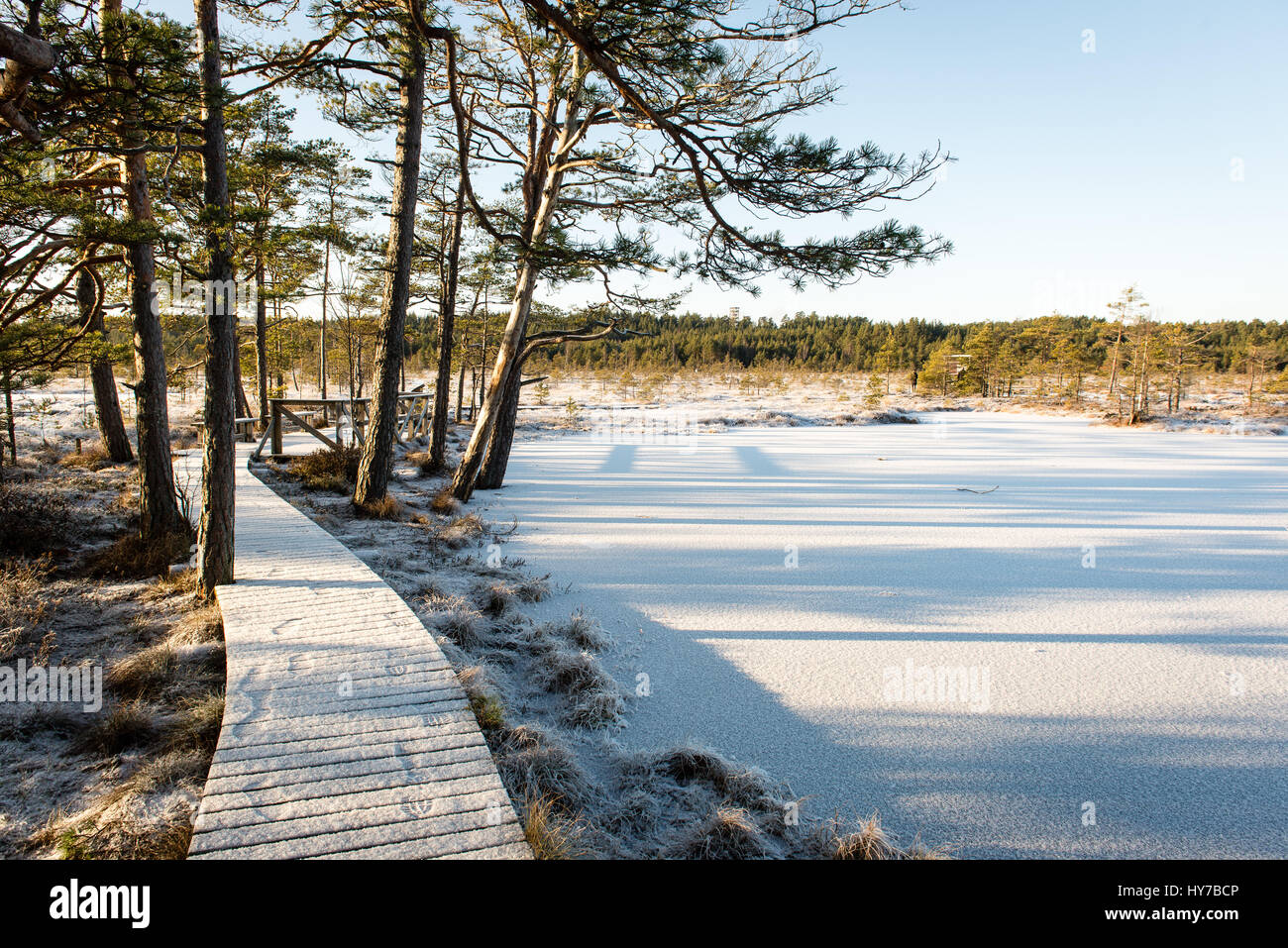 snowy tourist hiking trail in woods in winter. trails in snow Stock ...