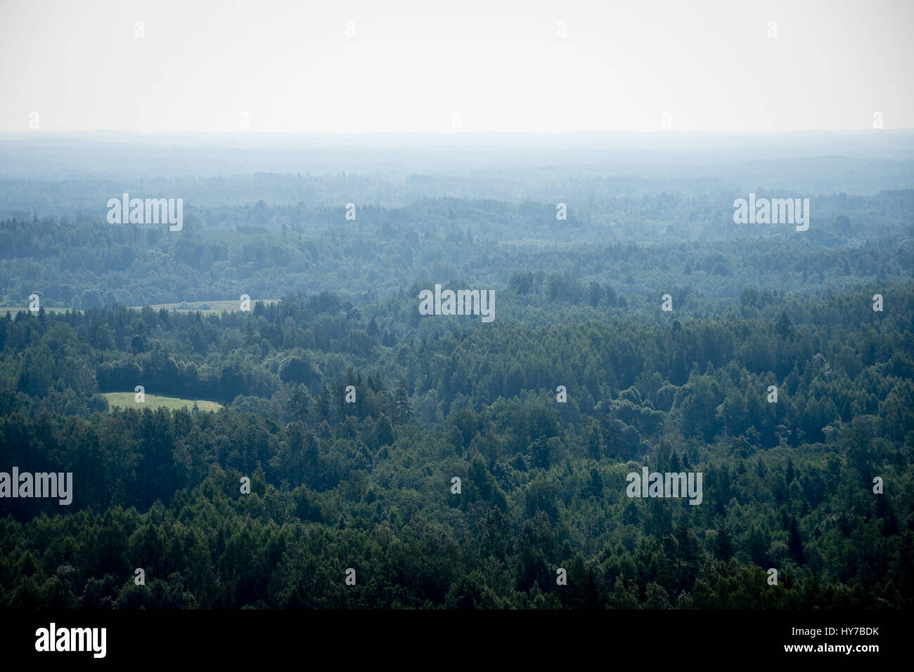 panoramic view of misty green forest. far horizon Stock Photo - Alamy