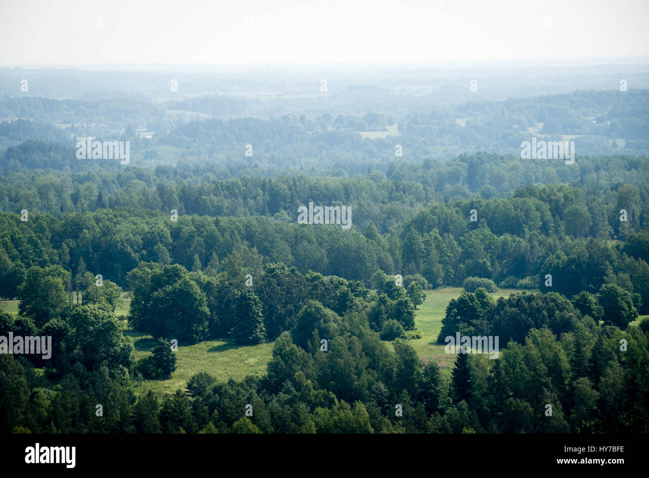 panoramic view of misty green forest. far horizon Stock Photo - Alamy
