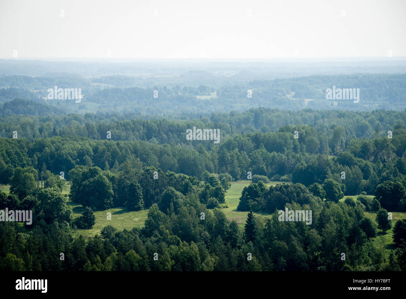 panoramic view of misty green forest. far horizon Stock Photo - Alamy