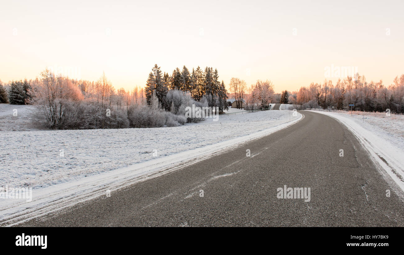 empty road in the countryside with trees in surrounding. perspective in ...