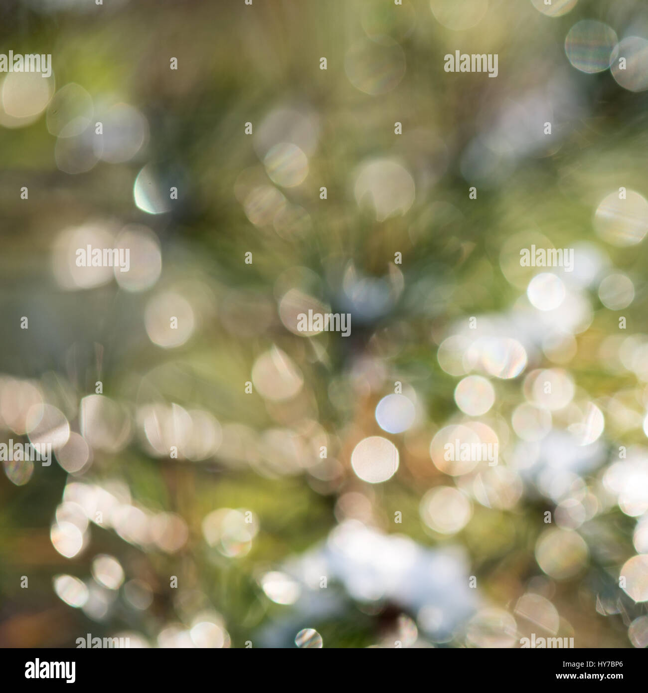 bright festive blur background with beautiful boke effect Stock Photo ...