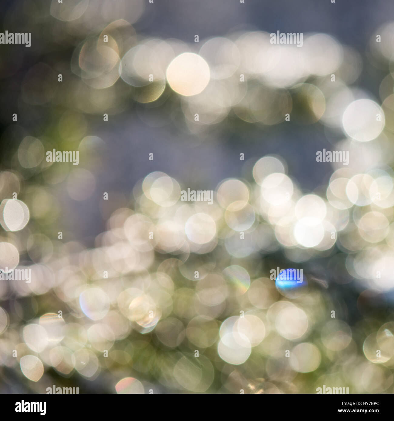 bright festive blur background with beautiful boke effect Stock Photo ...