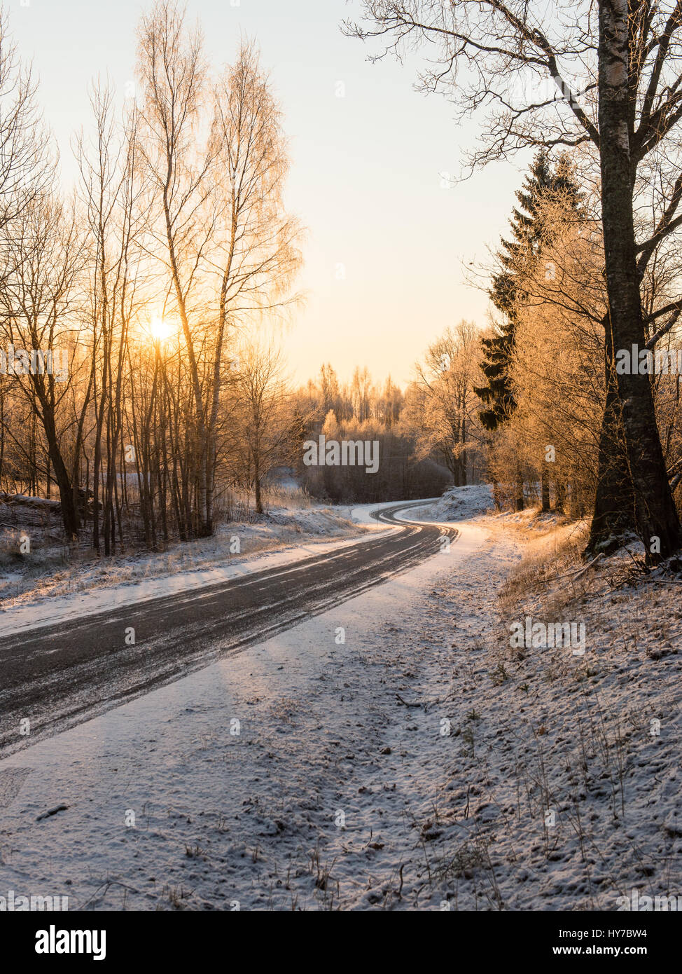 empty road in the countryside with trees in surrounding. perspective in ...