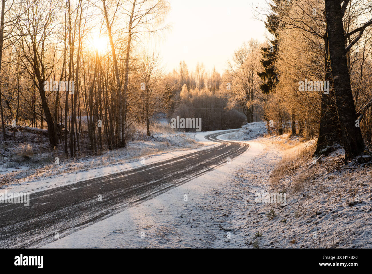 empty road in the countryside with trees in surrounding. perspective in ...