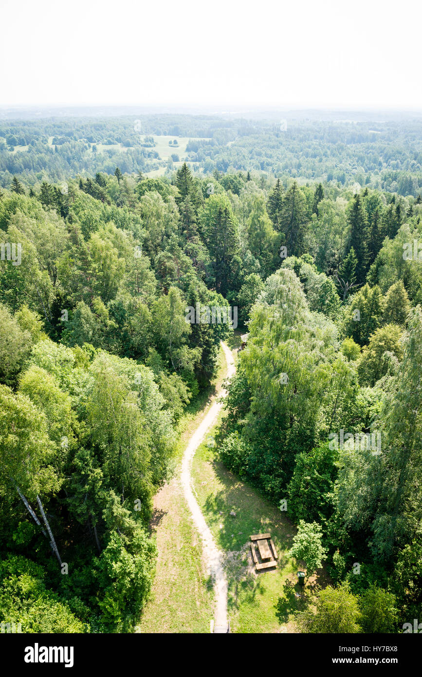 panoramic view of misty green forest. far horizon Stock Photo - Alamy