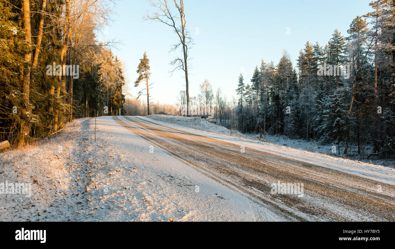 empty road in the countryside with trees in surrounding. perspective in ...