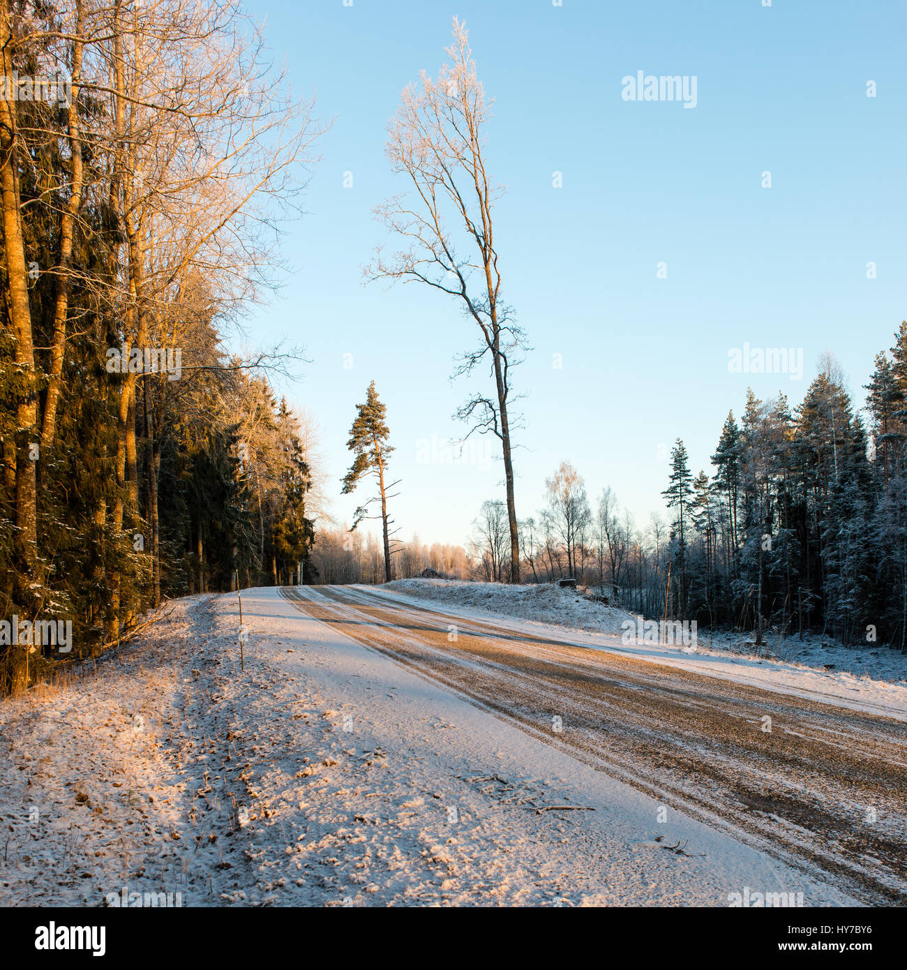 empty road in the countryside with trees in surrounding. perspective in ...