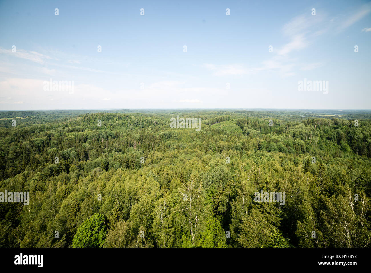 panoramic view of misty green forest. far horizon Stock Photo - Alamy