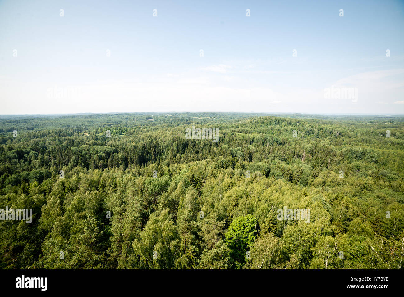 panoramic view of misty green forest. far horizon Stock Photo - Alamy