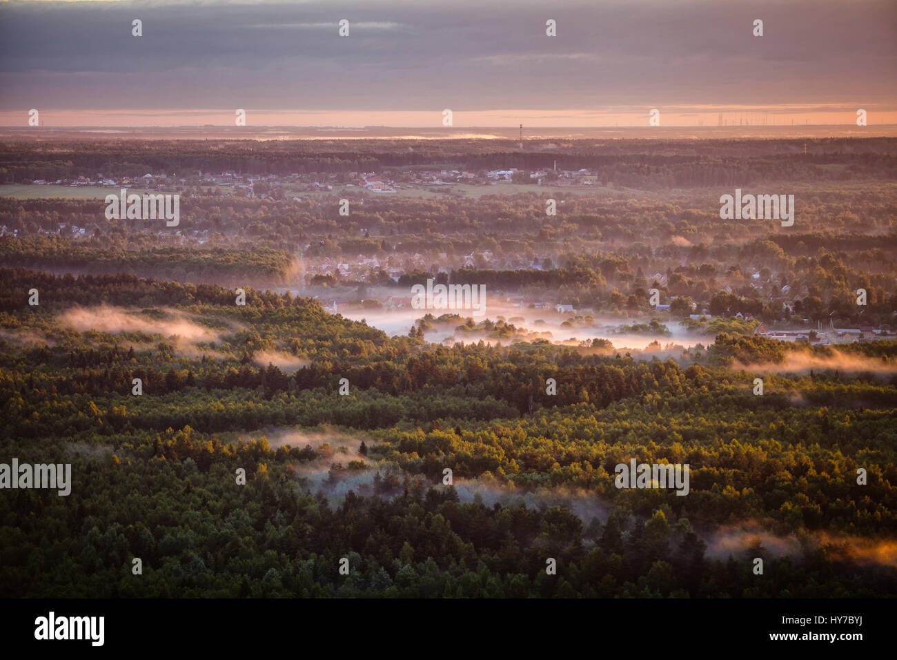 Deep dawn mist over the forest and village Stock Photo - Alamy