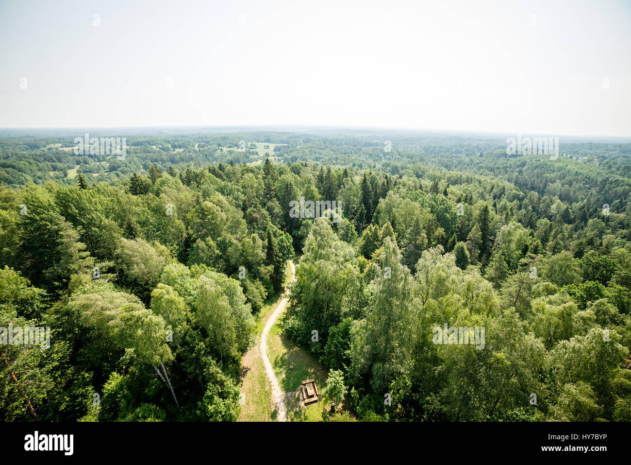 panoramic view of misty green forest. far horizon Stock Photo - Alamy