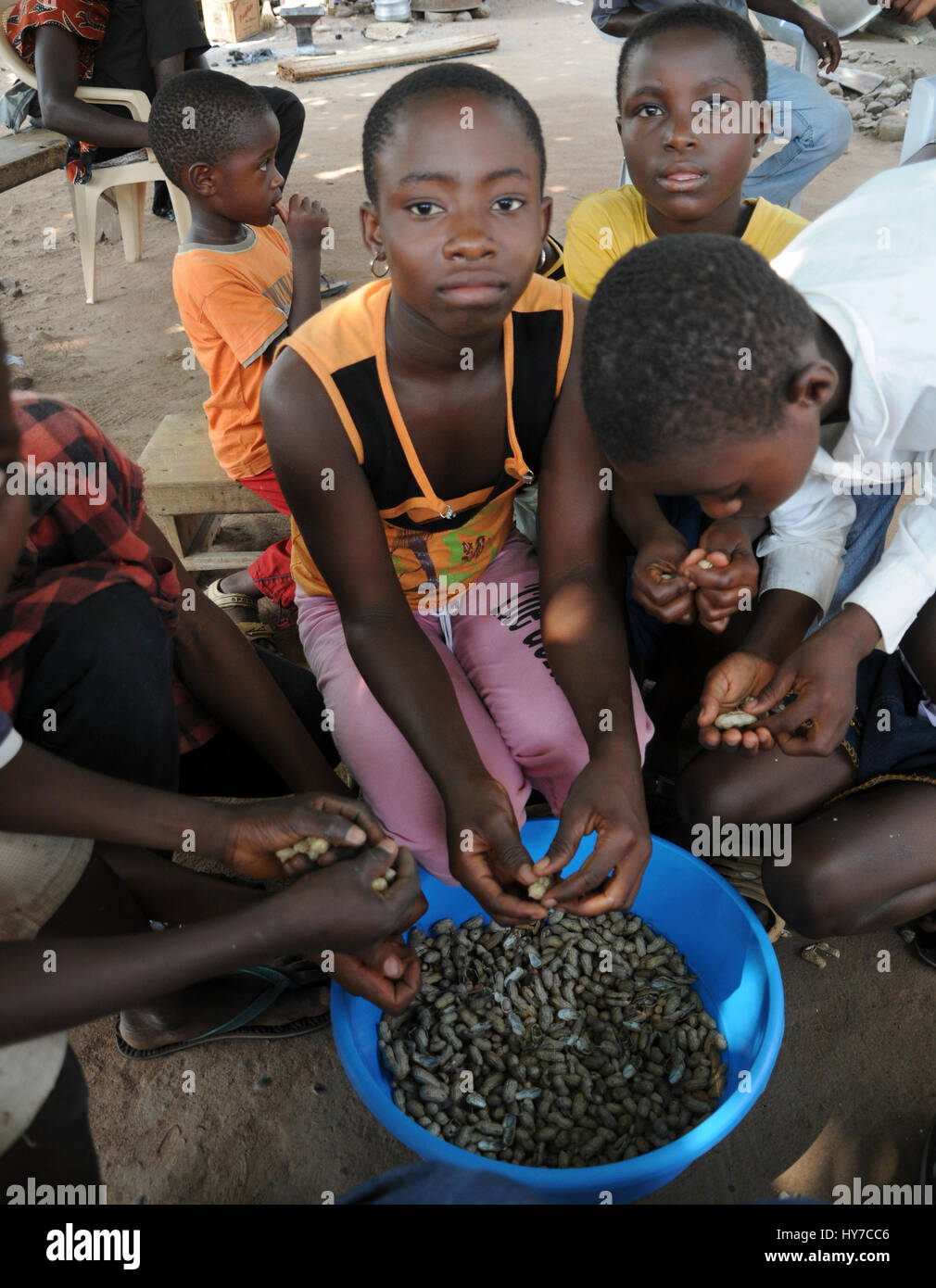 A group of children are collecting seeds Stock Photo - Alamy